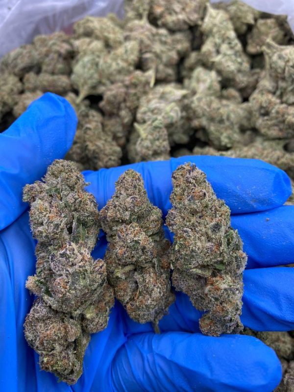 Buy Gelato Weed Strain Online – Premium Gelato 33, 41, 45, Lemon Cherry ...