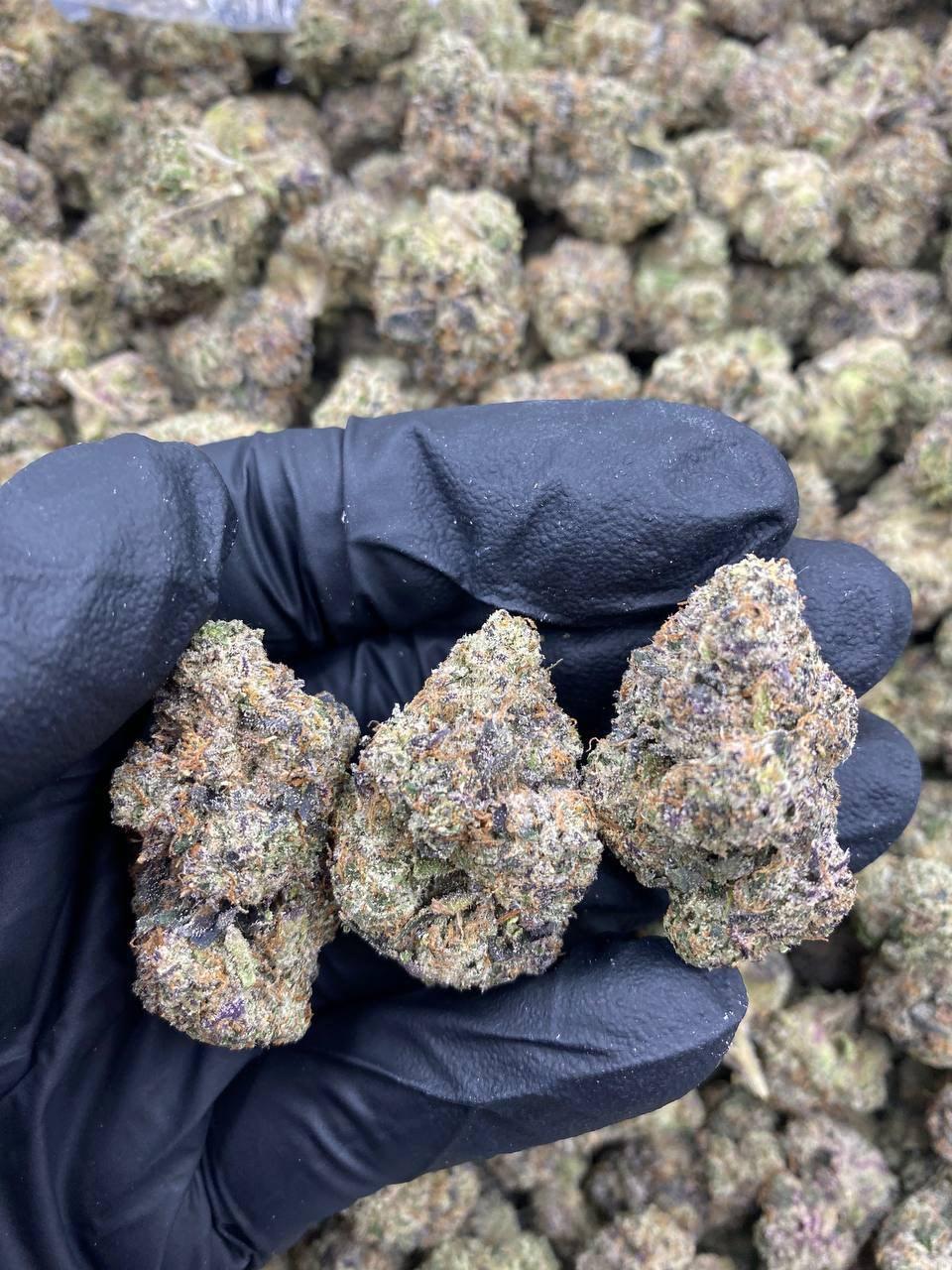 Lemon Drop Weed Strain - Citrus Flavor, Uplifting Effects | Southern ...