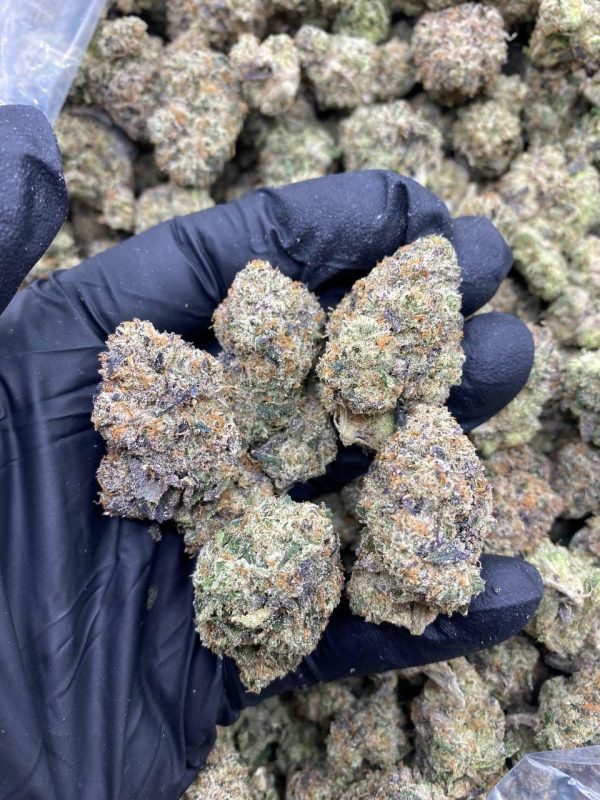 Buy Gary Payton Weed Strain | Indica Hybrid Cannabis - Southern Harvest