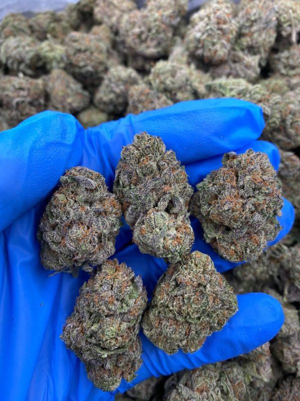 Buy White Weed Strain Online - Frosty, Potent Cannabis | Southern ...